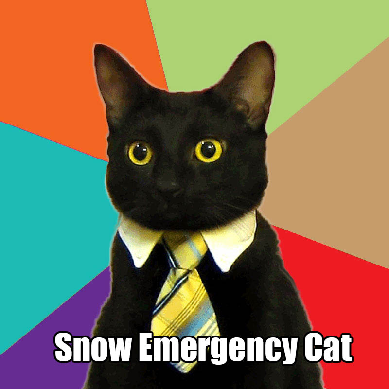 Snow Emergency Cat | meow meow meow